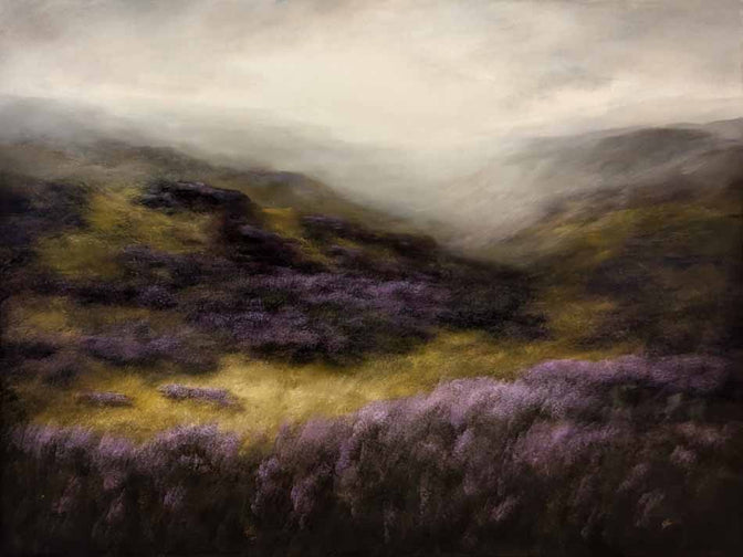 Judith Levin - Still Life and Landscape Artist
